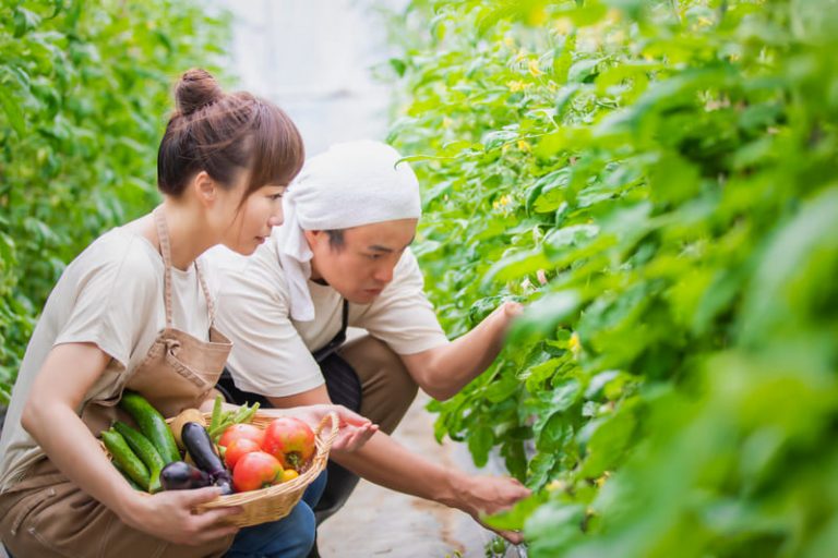 障がい者雇用の退職理由と継続して働いてもらうためのポイント - veginessworker